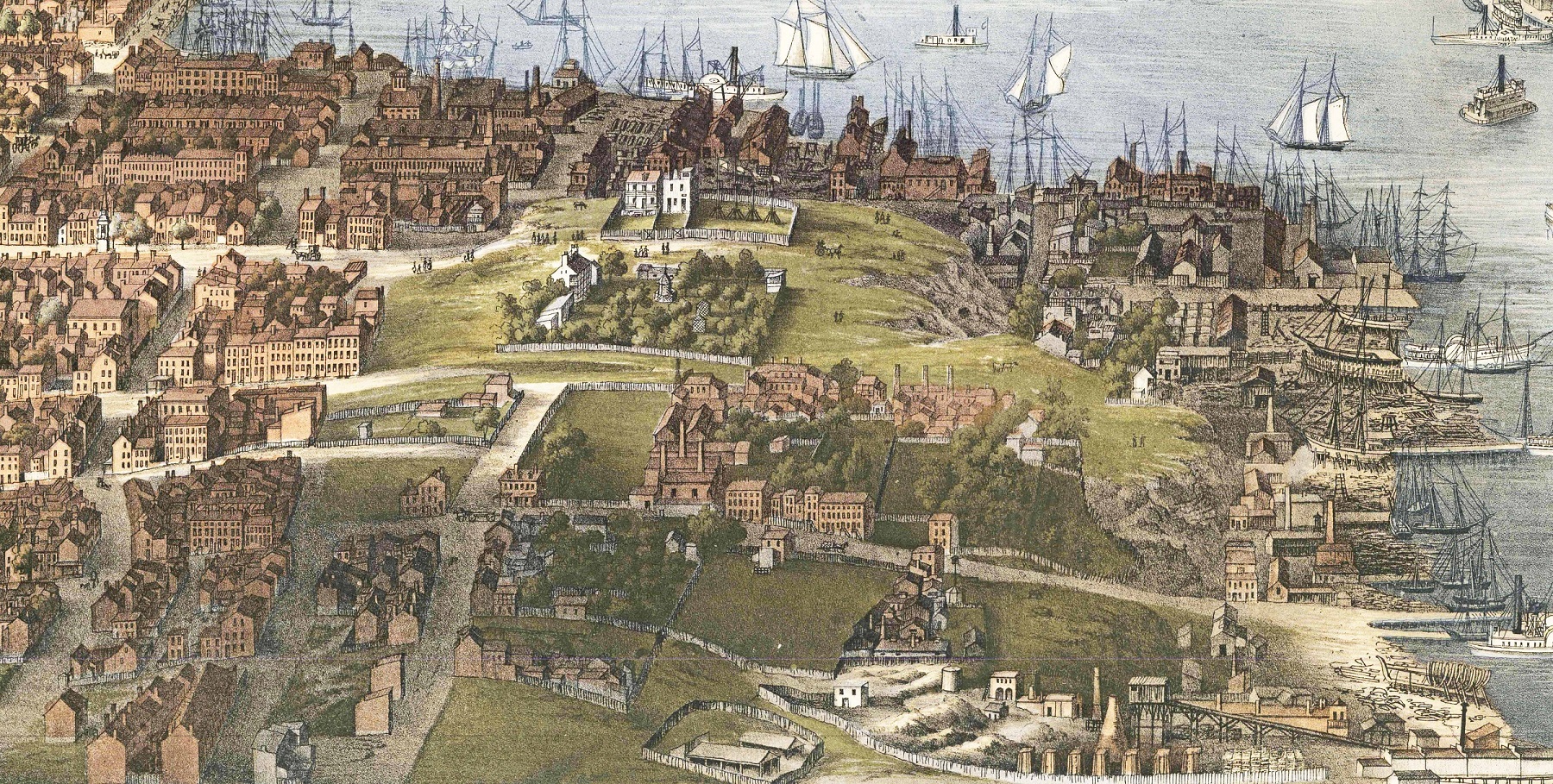 Deep Dive into the Tunnels of Federal Hill – South Baltimore Peninsula Post