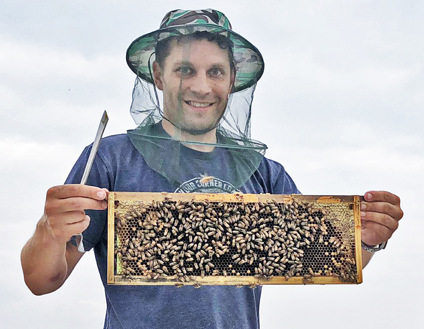 Rowhouse Roof Is Home to SoBo Beekeeper’s Busy Hives – South Baltimore ...